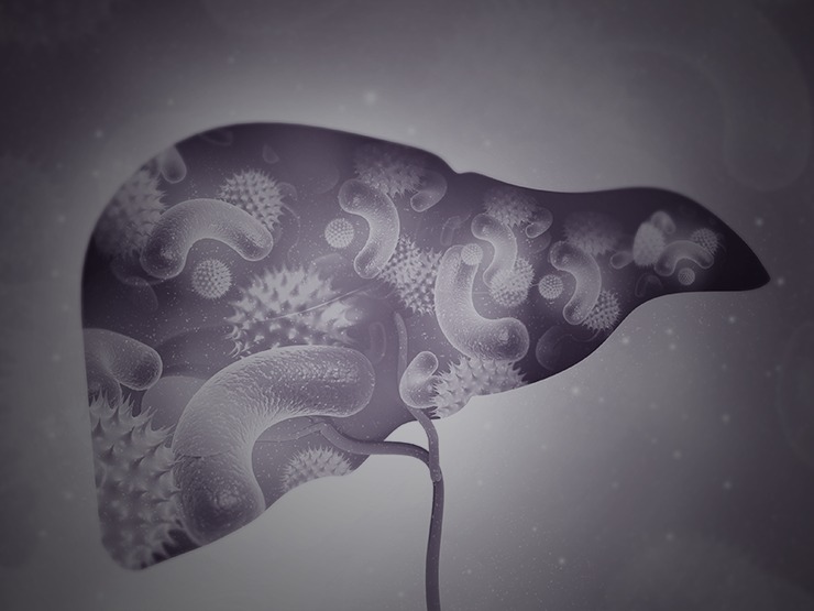 Services - Southern California Liver Center